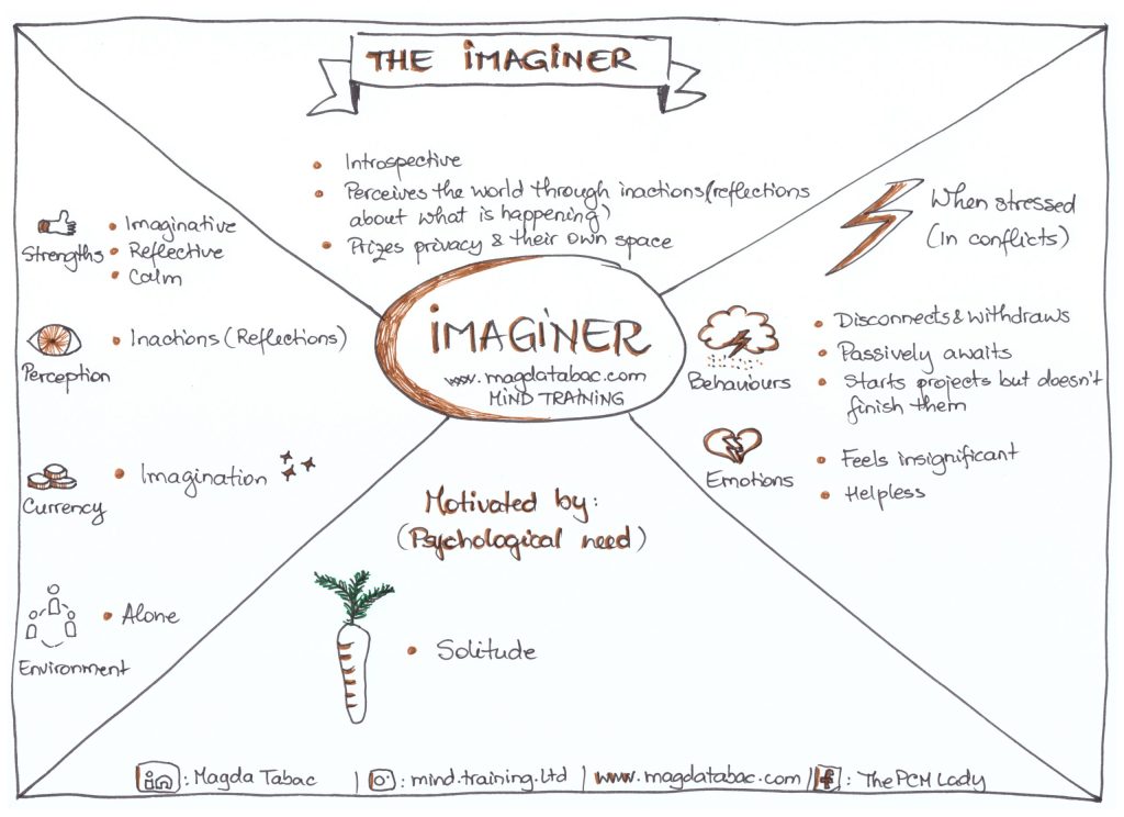 Pcm Personality Types A Visual Summary In Drawings Www Magdatabac