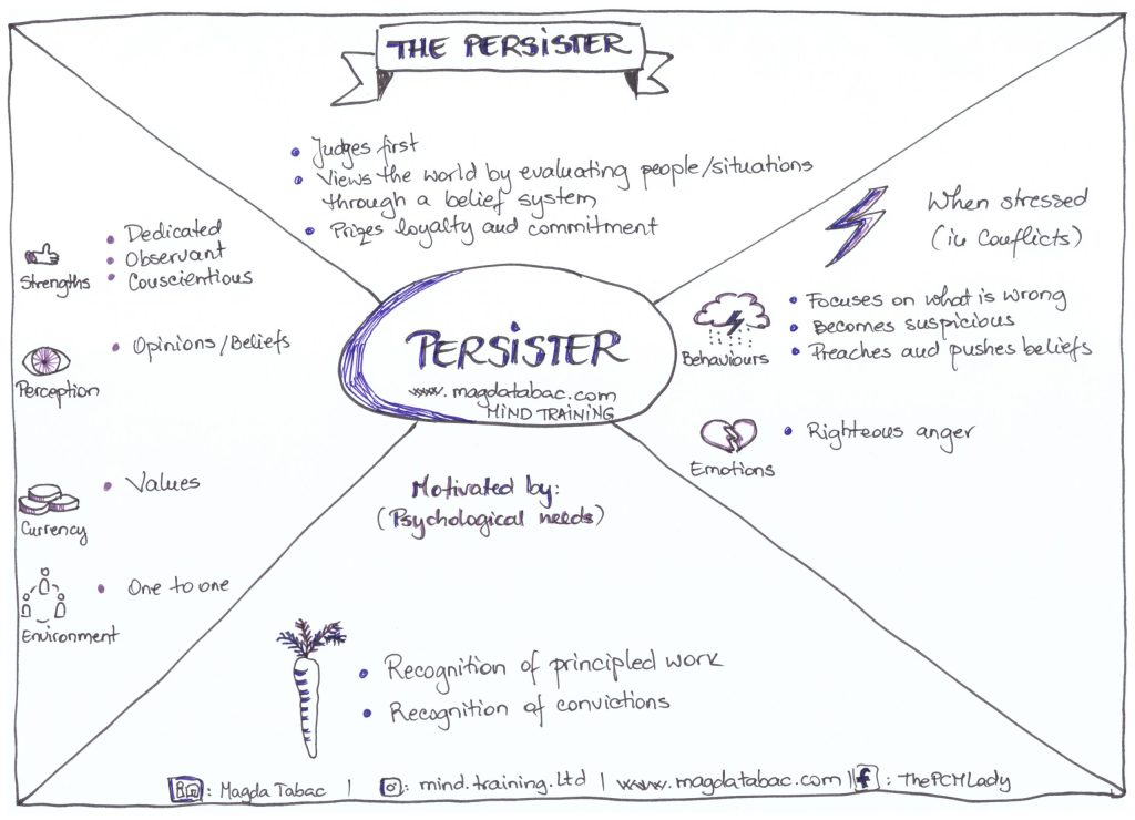 PCM Personality Types: a Visual Summary In Drawings - www.magdatabac.com