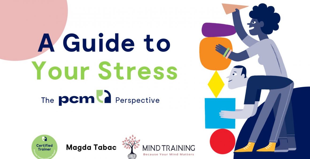 Introduction in the Neuroscience of Stress – The Rider and Elephant ...